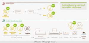 Protect your pet food from oxidation, naturally - Appetizer - Diana Pet ...