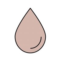 Cat food: How to make the most palatable kibbles - Appetizer - Symrise ...