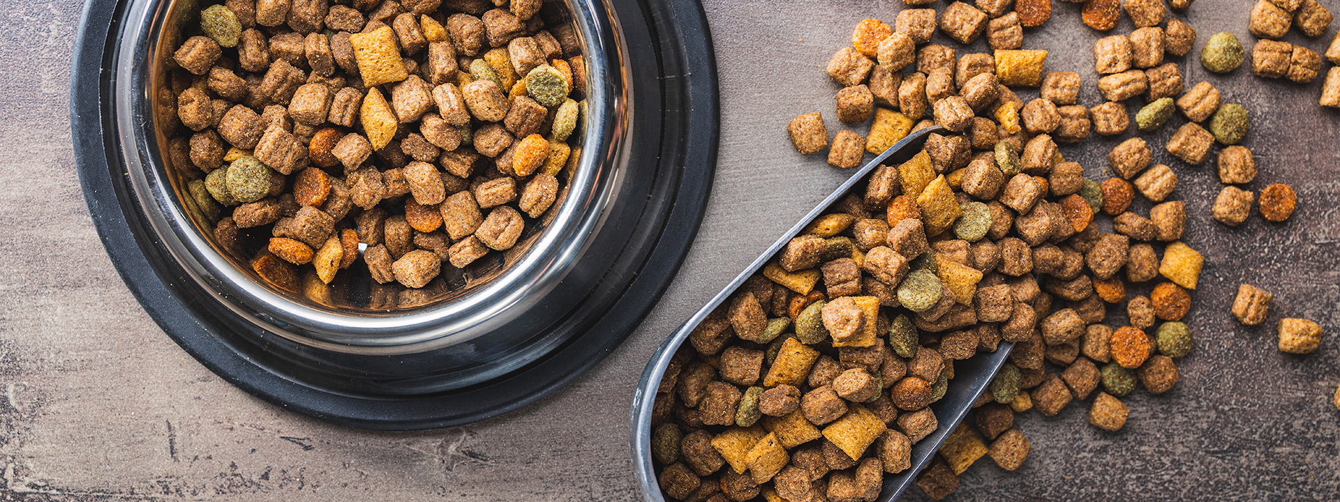 How to measure pet food oxidation - Appetizer - Symrise Pet Food